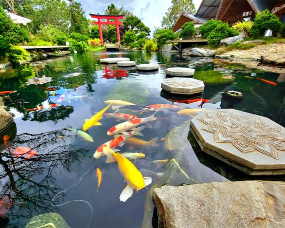 Khám phá Top 35 cảnh đẹp Đà Lạt thu hút khách du lịch gần xa