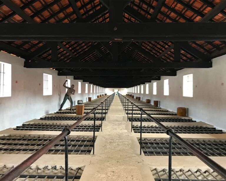 Về thăm nhà tù Côn Đảo, tìm hiểu những nét đẹp lịch sử của dân tộc