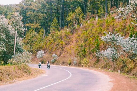 Khám phá Dinh 2 Đà Lạt | Một thời chốn xa hoa nay đã bị quên lãng